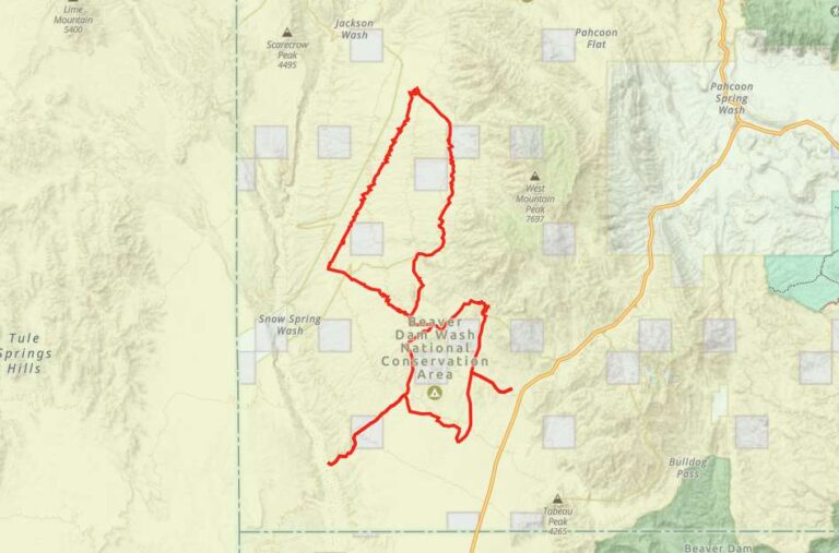 Castle Cliffs 2026 | Outsiders Utah